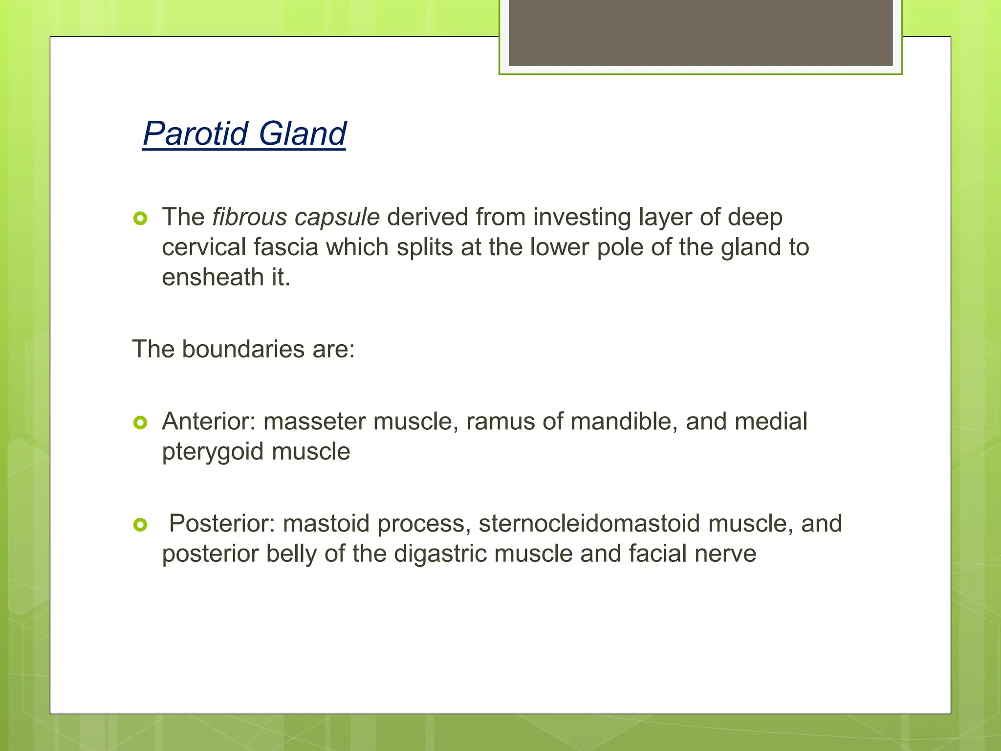 Parotid gland anatomy and applied aspects .pptx