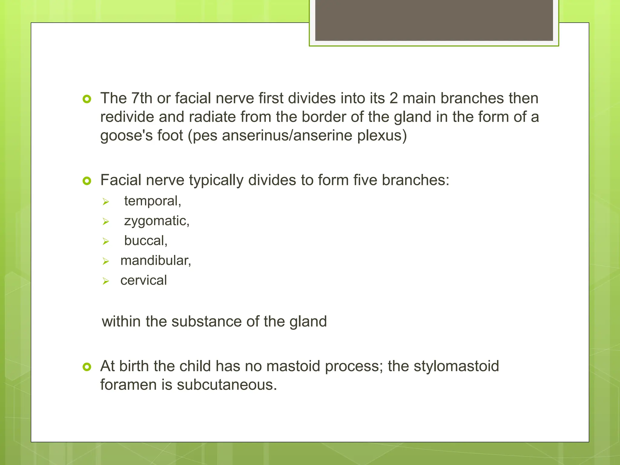 Parotid gland anatomy and applied aspects .pptx