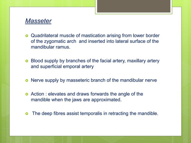 Parotid Gland Anatomy And Applied Aspects Pptx