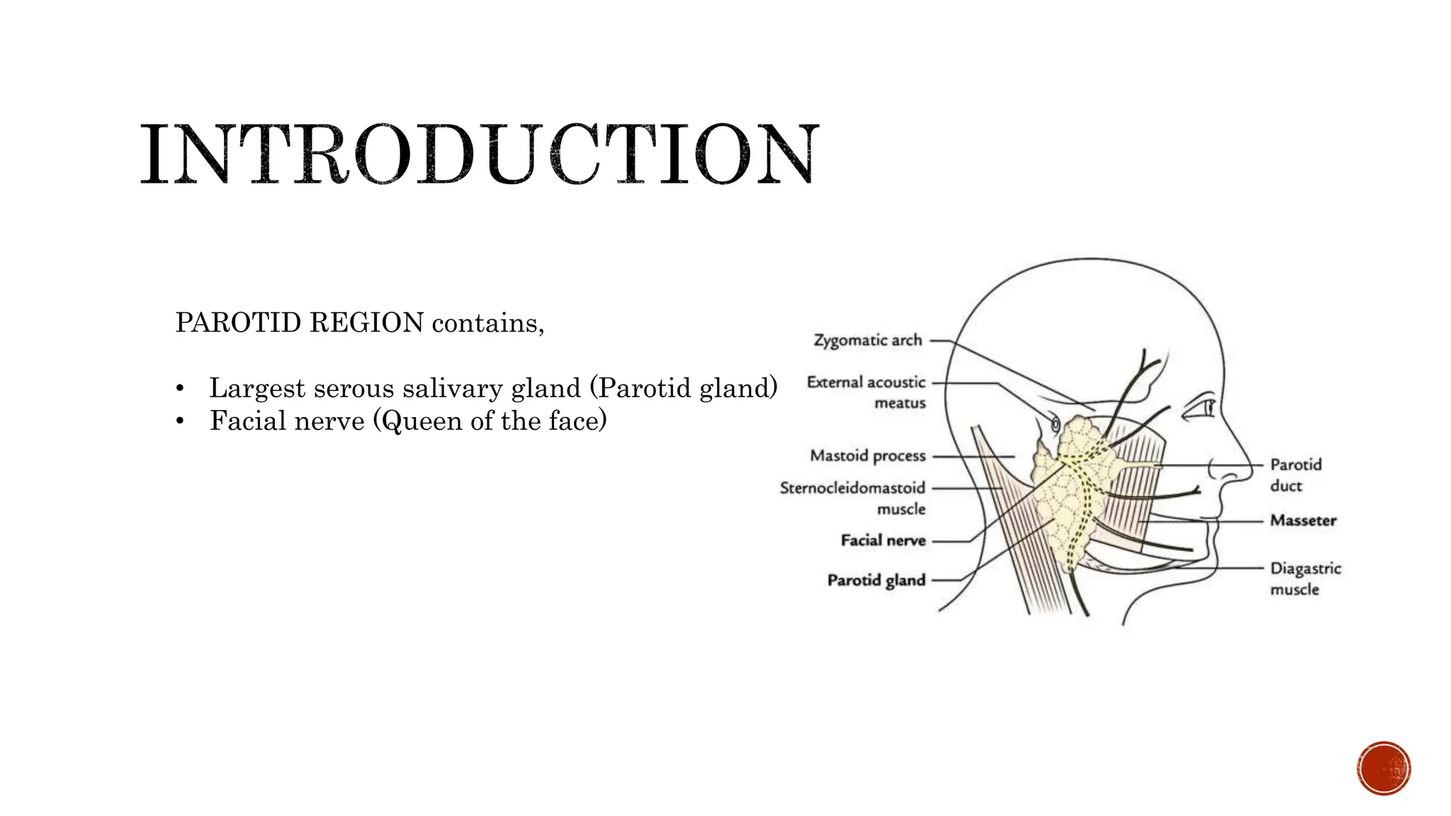Parotid region (By: Anslin Jerbiha.E ).pptx