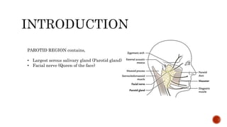 Parotid region (By: Anslin Jerbiha.E ).pptx