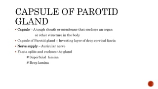 Parotid region (By: Anslin Jerbiha.E ).pptx