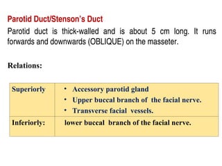 parotid region including the anatomy of parotid salivary gland | PPT