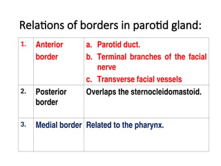 parotid region including the anatomy of parotid salivary gland | PPT