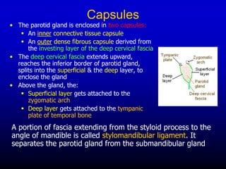 Parotid_Region.ppt