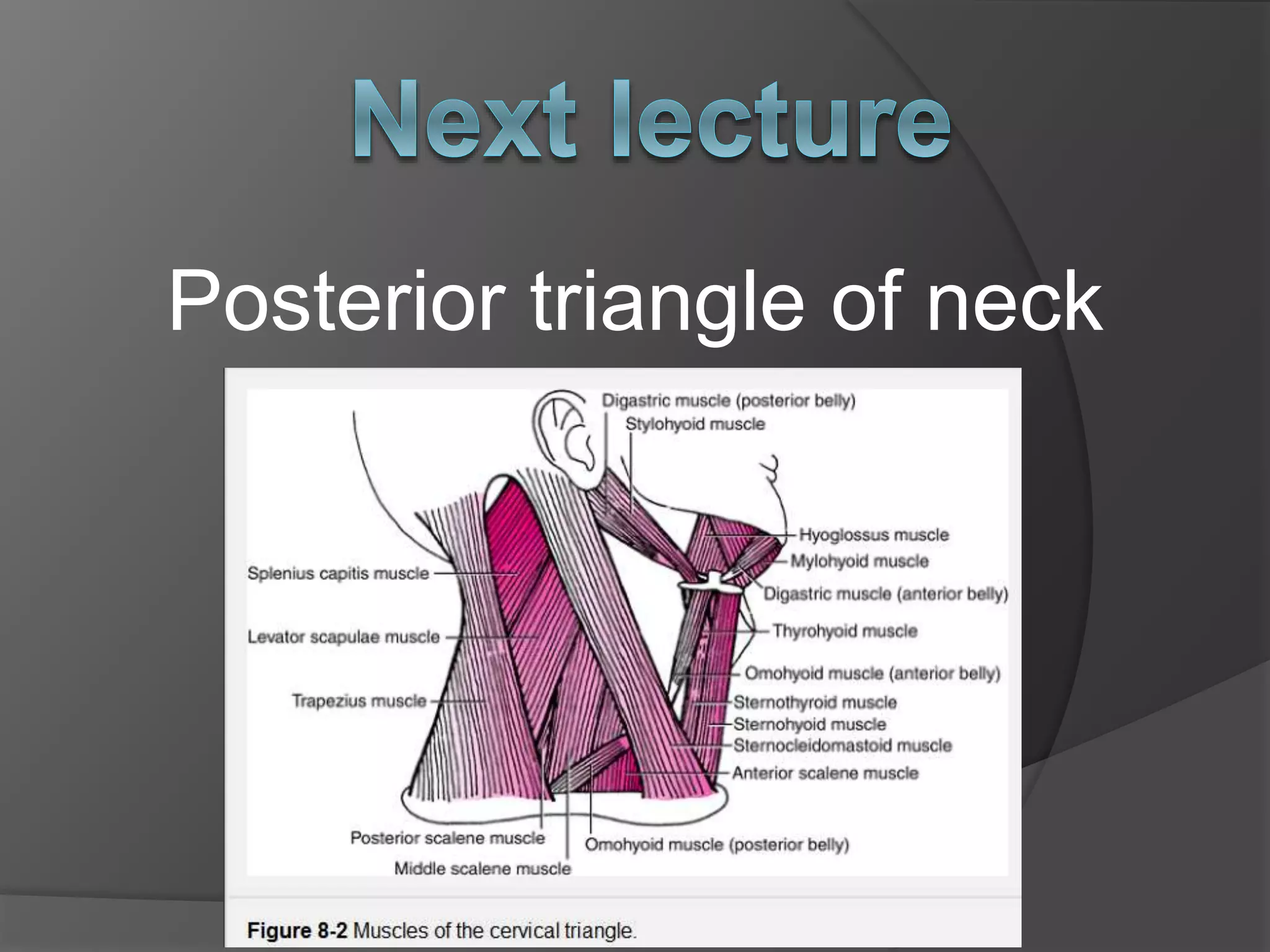 Parotid region and facial nerve | PPTX