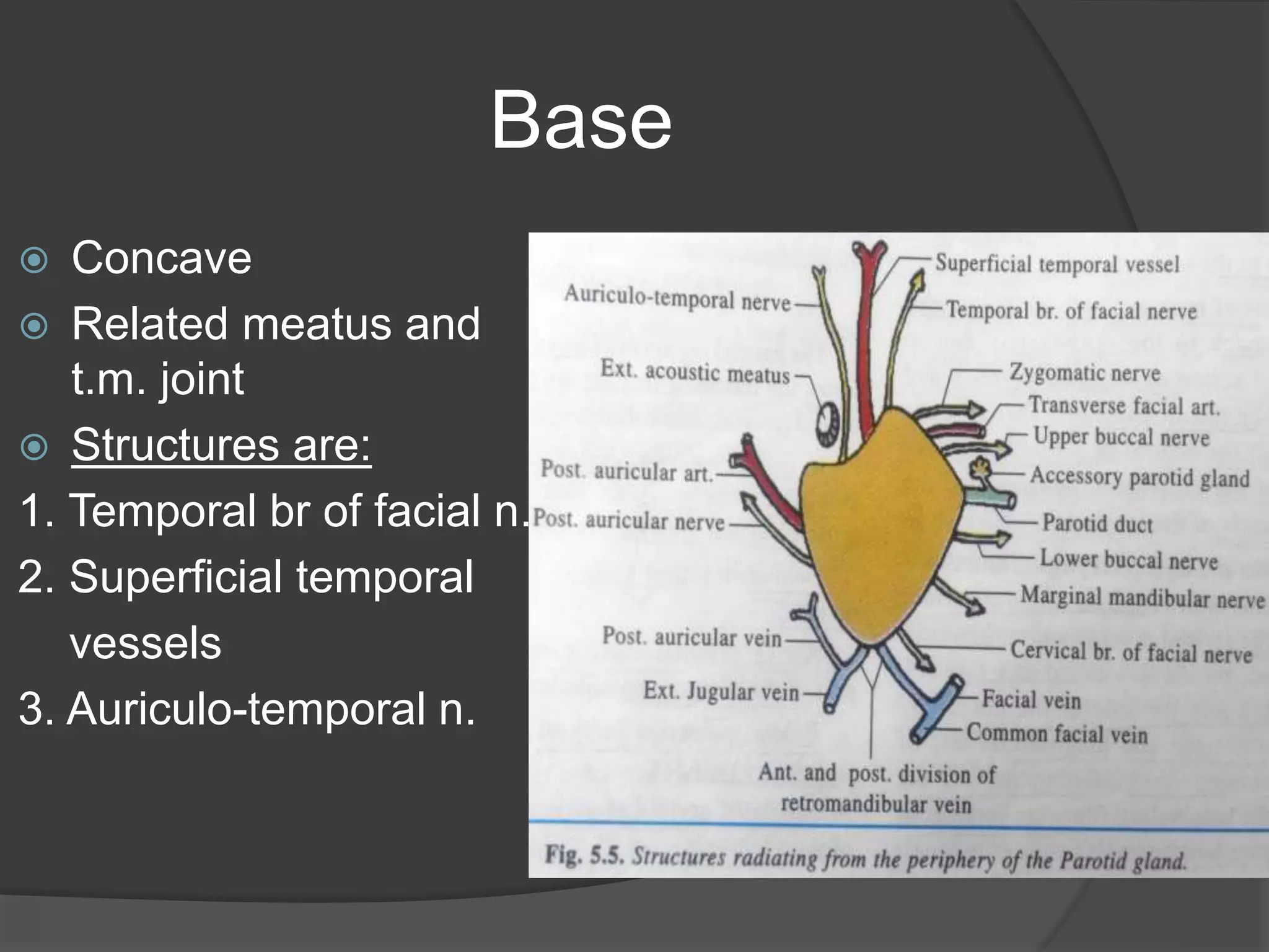 Parotid region and facial nerve | PPTX