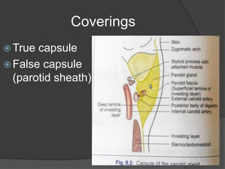 Parotid region and facial nerve | PPTX