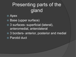 Parotid region and facial nerve | PPTX