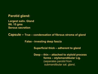 Parotid salivary gland | PPT
