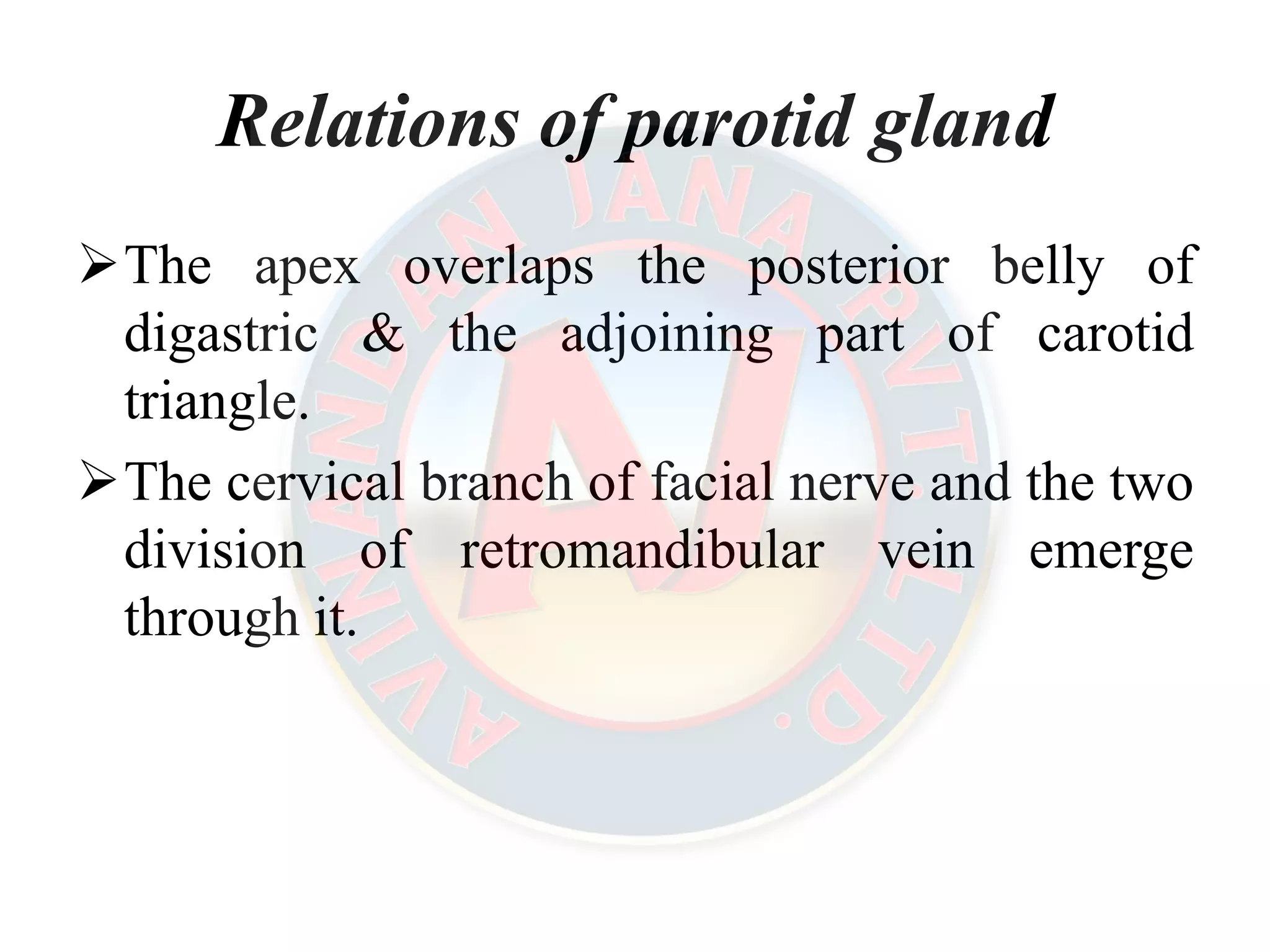 PAROTID GLAND | PDF