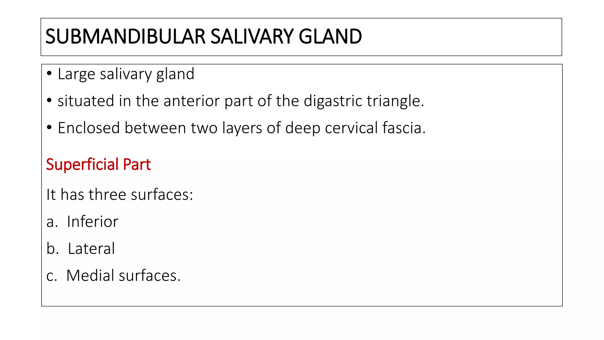 PAROTID SUBMANDIBULAR & SUBLINGUAL SALIVARY GLANDS.pptx