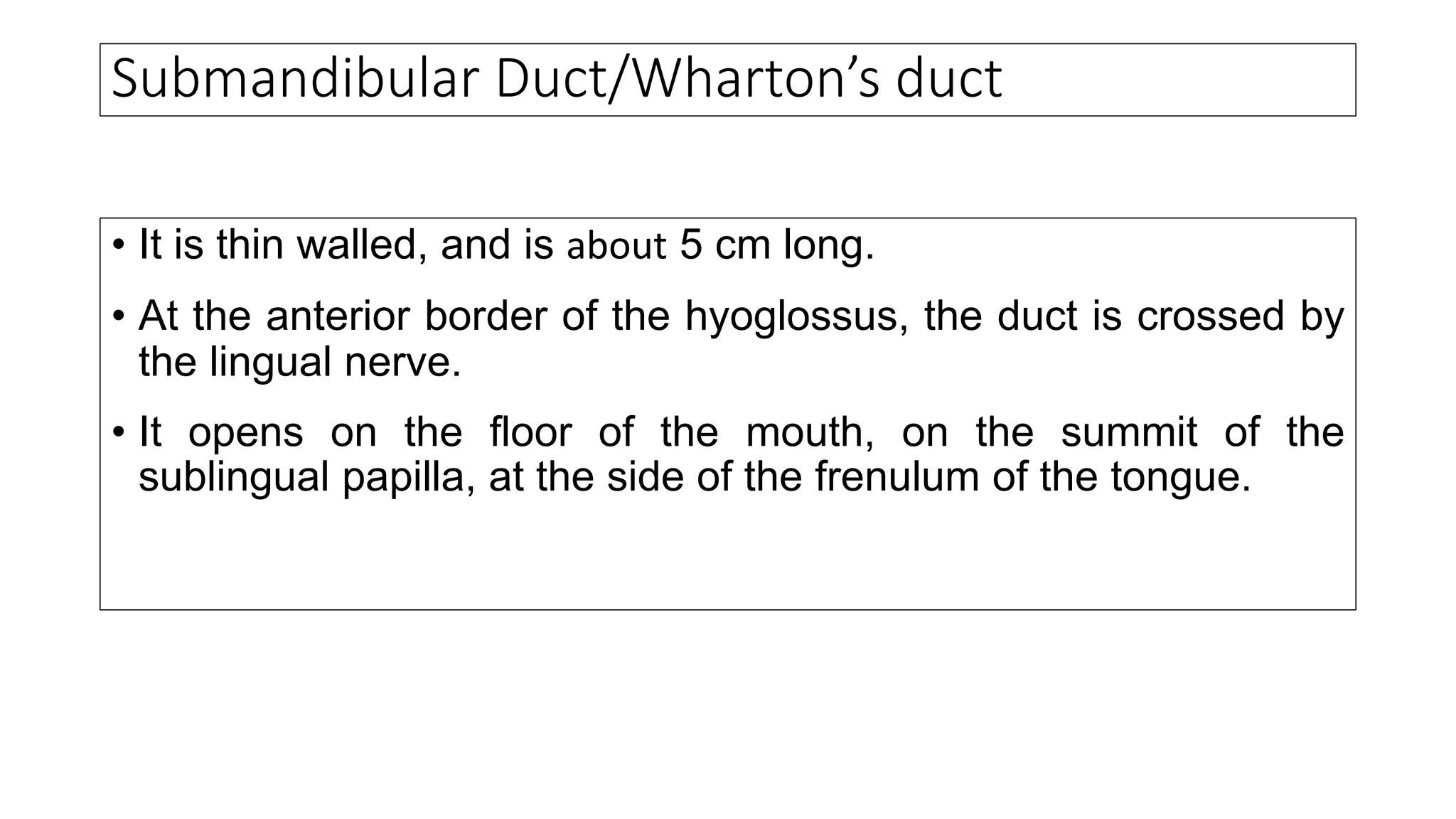 PAROTID SUBMANDIBULAR & SUBLINGUAL SALIVARY GLANDS.pptx