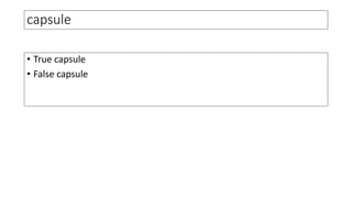 PAROTID SUBMANDIBULAR & SUBLINGUAL SALIVARY GLANDS.pptx