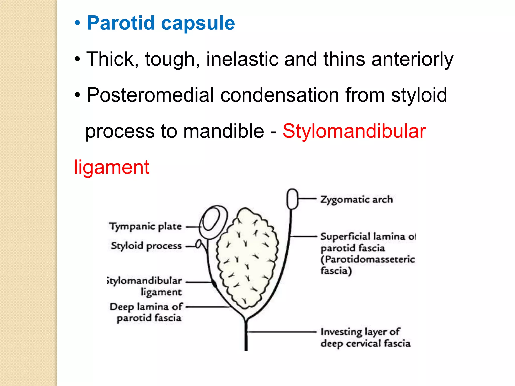 Parotid surgery | PPTX