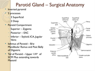Parotid Tumors. Ppt | PPTX