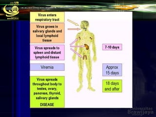 Waspada parotitis/mumps dan pencegahanya.ppt