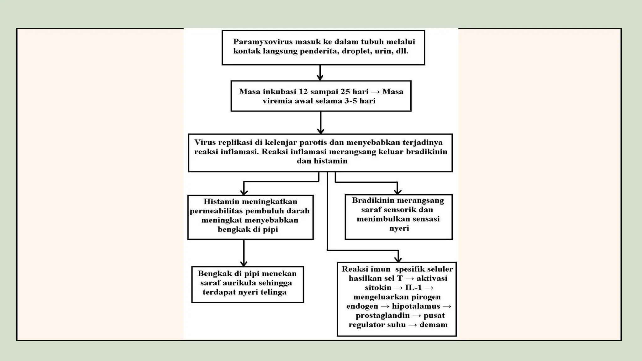 Parotitis epidemika, gondongan mumps in pediatric | PPT