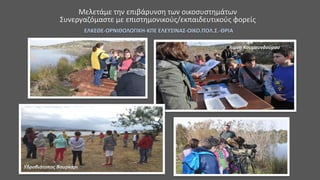 ΕΠΙΜΟΡΦΩΤΙΚΕΣ ΔΡΑΣΕΙΣ ΚΑΙ ΕΚΠΑΙΔΕΥΤΙΚΕΣ ΠΑΡΕΜΒΑΣΕΙΣ ΜΕ ΑΝΤΙΚΕΙΜΕΝΟ ΤΟΝ ...