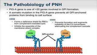 Paroxysmal nocternal hemoglobinuria | PPTX
