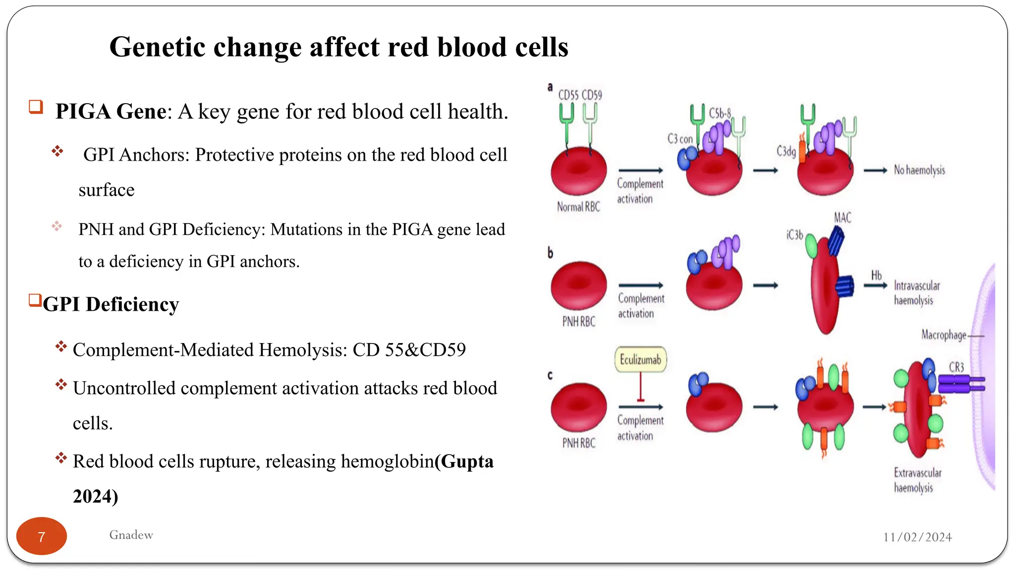 PAROXYSMAL NOCTURNAL HEMOGLOBINURIA.pptx