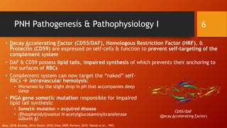 Paroxysmal Nocturnal Hemoglobinuria (PNH) - A Pathologic Survey | PPTX