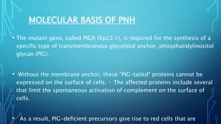 PAROXYSOMAL NOCTURNAL HEMOGLOBINURIA.pptx