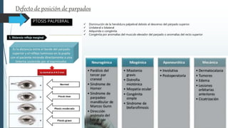 Parpado y patologias | PPTX