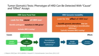 PARP INHIBITOR IN OVARIAN CANCER PATIENT.pptx