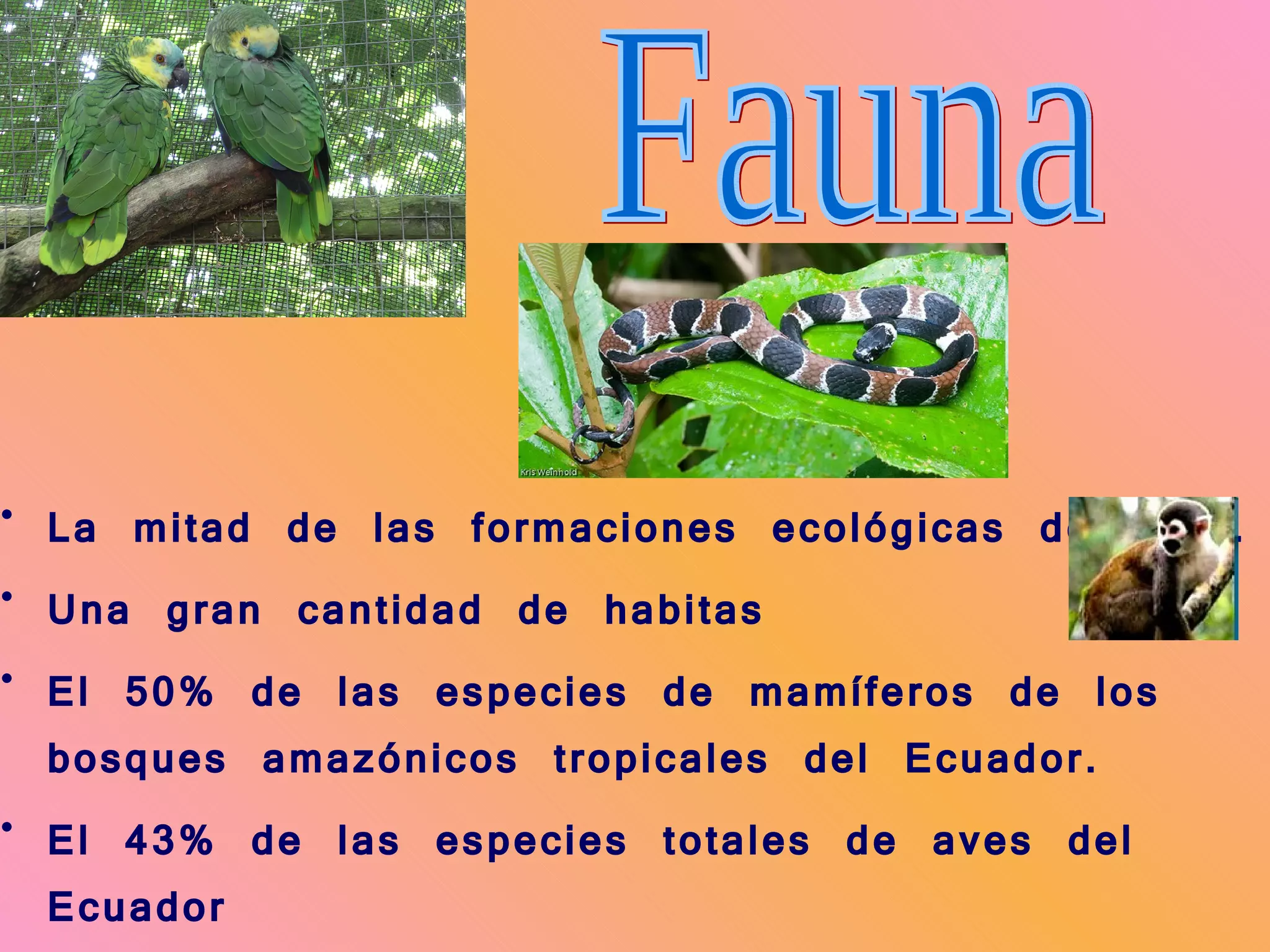 Parque Nacional Sangay Presentation | PPT