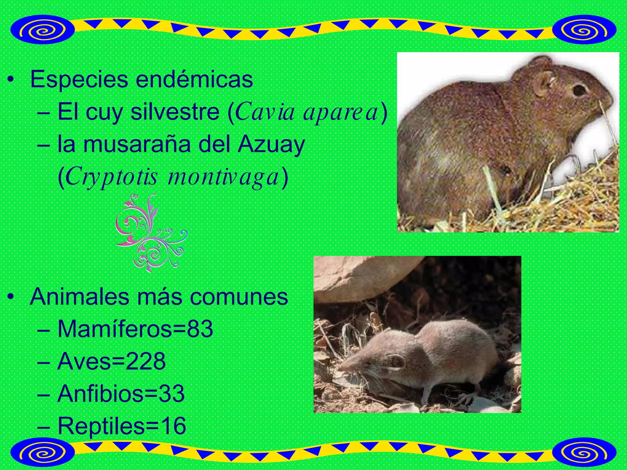 Parque Nacional Sangay Presentation | PPT