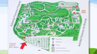 Parque del este | PPTX