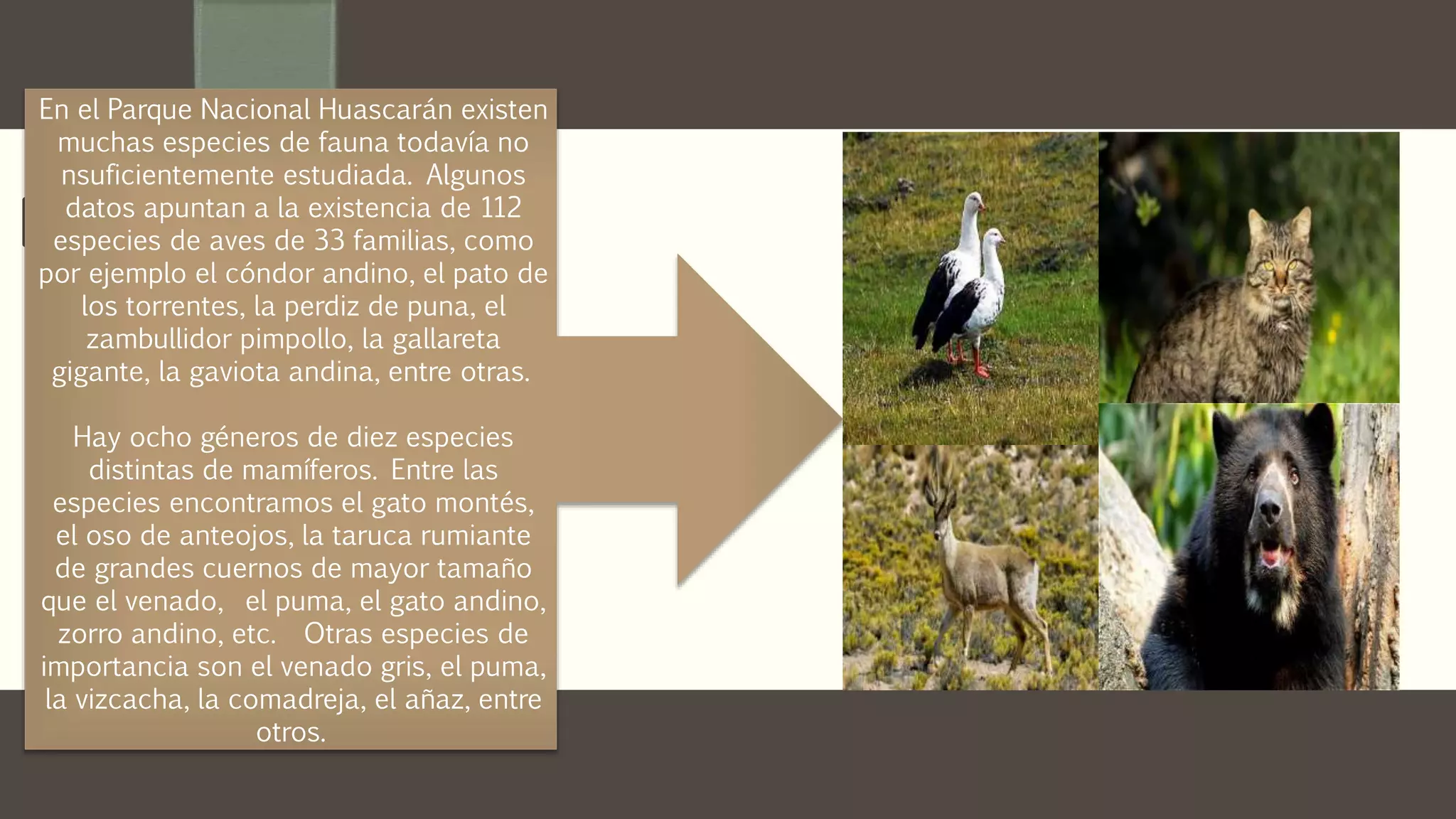 Parque nacional huascaran | PPTX