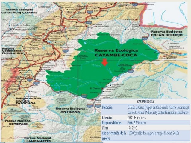 Parque nacional cayambe coca