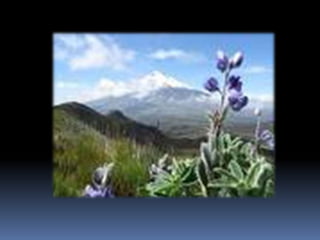 Parque nacional cotopaxi | PPSX