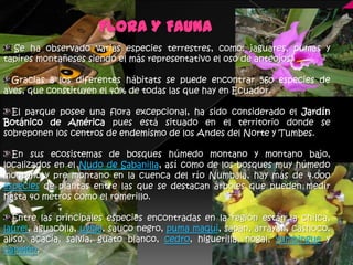 Parque Nacional Podocarpus | PPTX