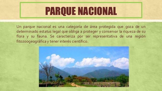 Parque Nacional De Honduras Nombres – LOCKL
