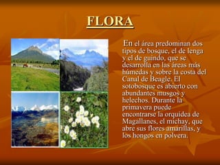Parques nacionales argentinos completo | PPT