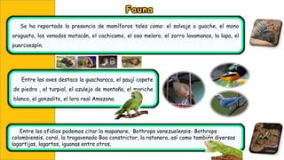 Parques Nacionales de Lara | PPTX