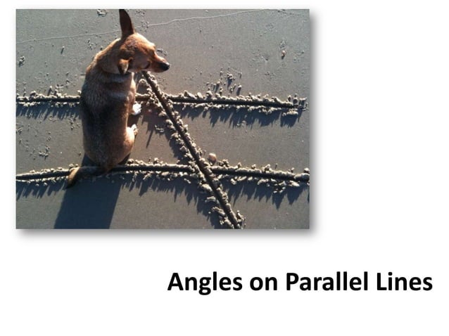 Parrallel lines | PPT
