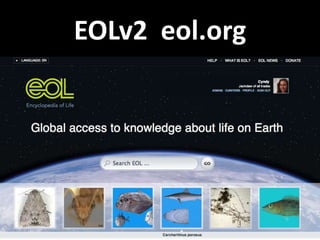 Introducing Encyclopedia of Life version 2 | PPTX