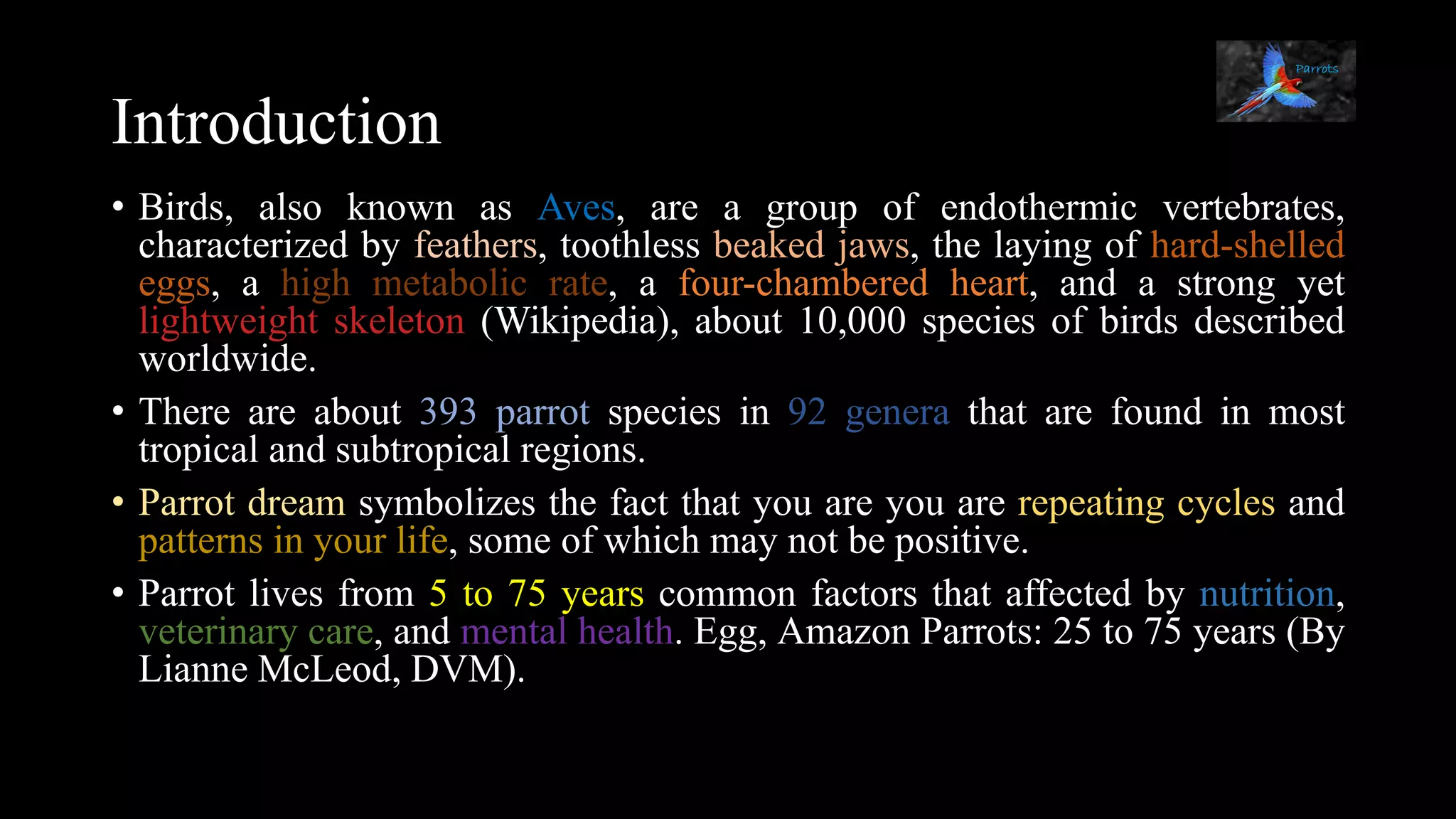 Parrot | PPTX