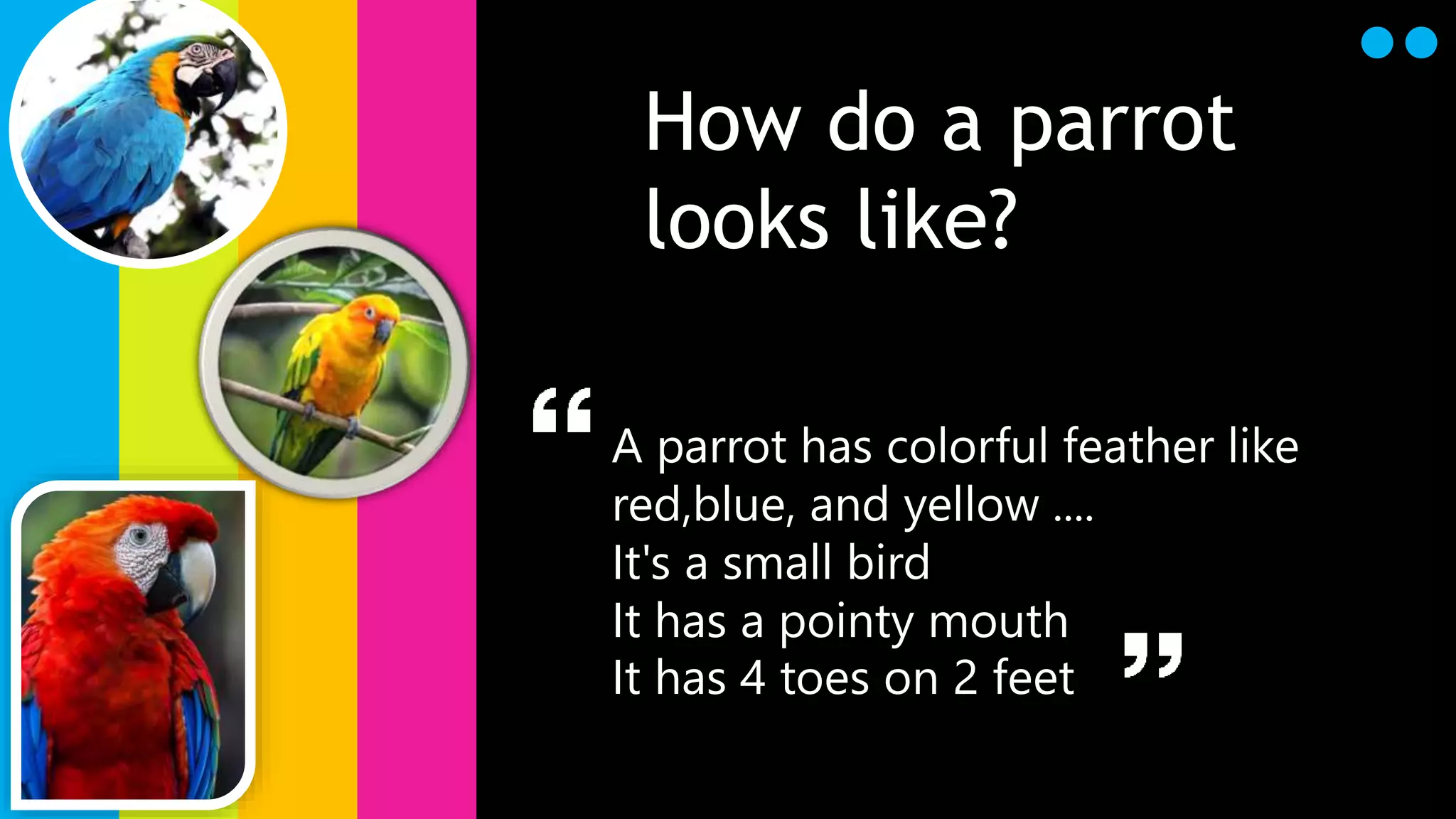 parrot.pptx