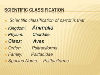 Parrot farming | PPTX