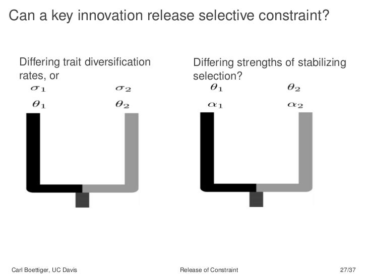 A general model of continuous character evolution