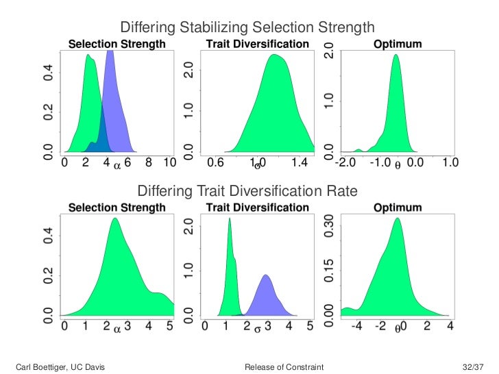 A general model of continuous character evolution