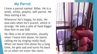 Parrots | PPTX
