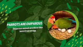 saludybienestarglogloglogloglogloglo .pdf