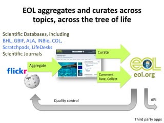 Encyclopedia of Life: Use cases for phenotypes | PPTX