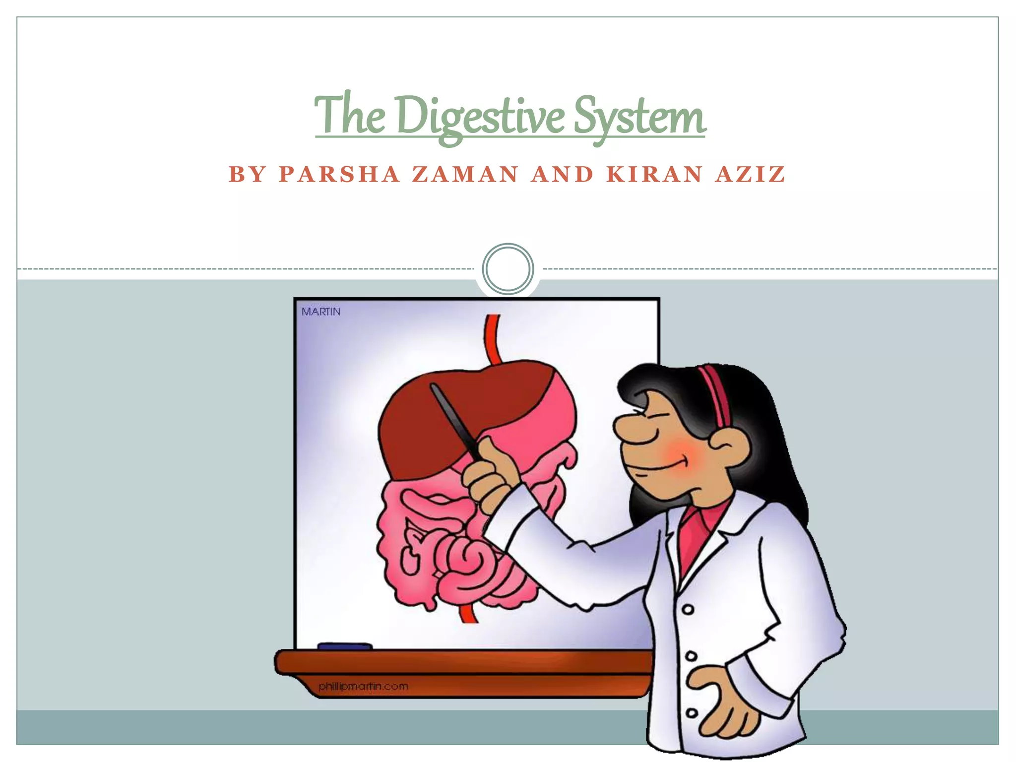 The Digestive System | PPT